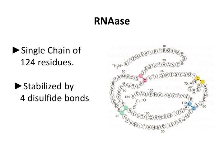 PPT - PROTEIN FOLDING PowerPoint Presentation - ID:5725676