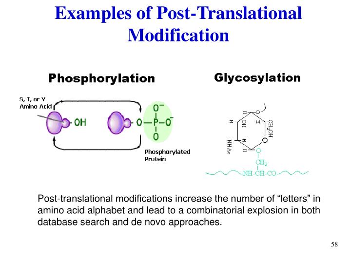 PPT - Mass Spectrometry-based Proteomics PowerPoint Presentation - ID ...