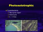 PPT - Life On Earth PowerPoint Presentation - ID:5727971