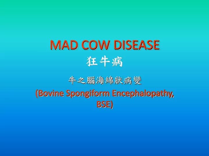PPT - MAD COW DISEASE 狂牛病 PowerPoint Presentation, free download - ID ...