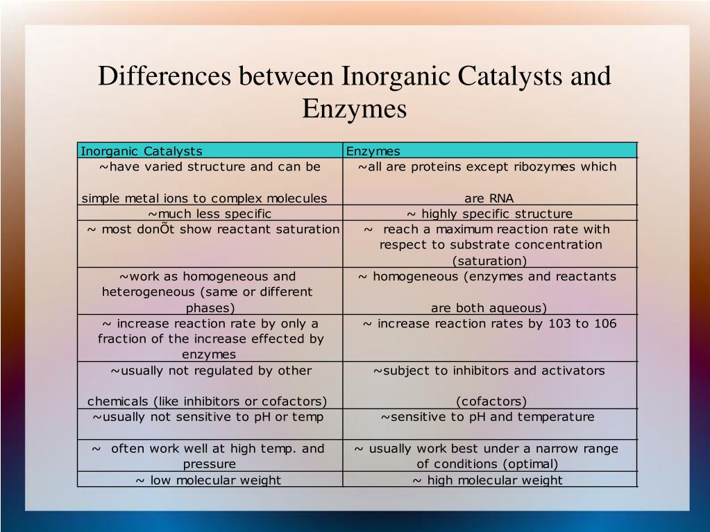 What Is The Difference Between Enzyme Activity And Sp - vrogue.co What Is The Difference Between Enzyme Activity And Sp - vrogue.co