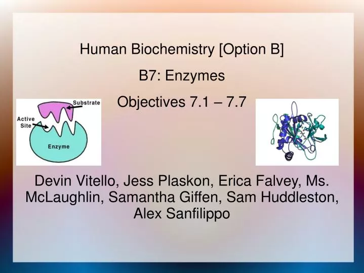 PPT - Human Biochemistry [Option B] B7: Enzymes Objectives 7.1 – 7.7 ...