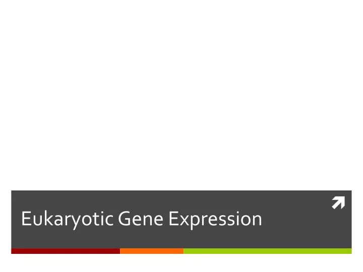 PPT - Eukaryotic Gene Expression PowerPoint Presentation, free download ...