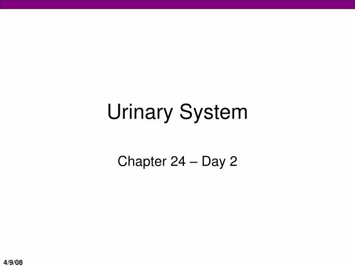 PPT - Urinary System PowerPoint Presentation, free download - ID:5732557