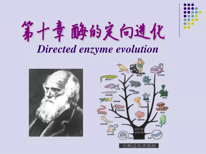 PPT - Directed enzyme evolution PowerPoint Presentation, free download ...