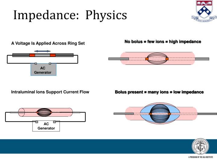 PPT - Diagnostic Testing: What I Need to Know and When to Order Studies ...