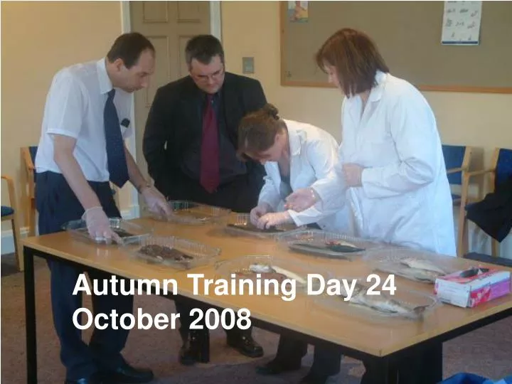 PPT - Autumn Training Day 24 October 2008 PowerPoint Presentation, free ...