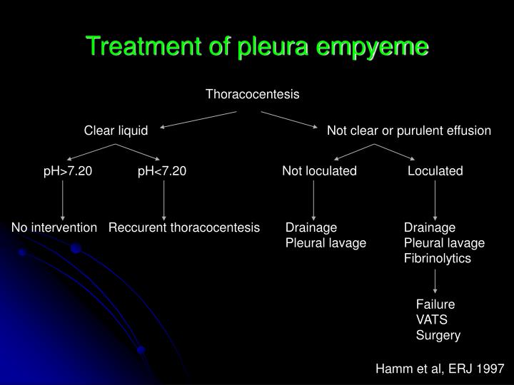 PPT - PLEURAL EMPYEMA PowerPoint Presentation - ID:5735694