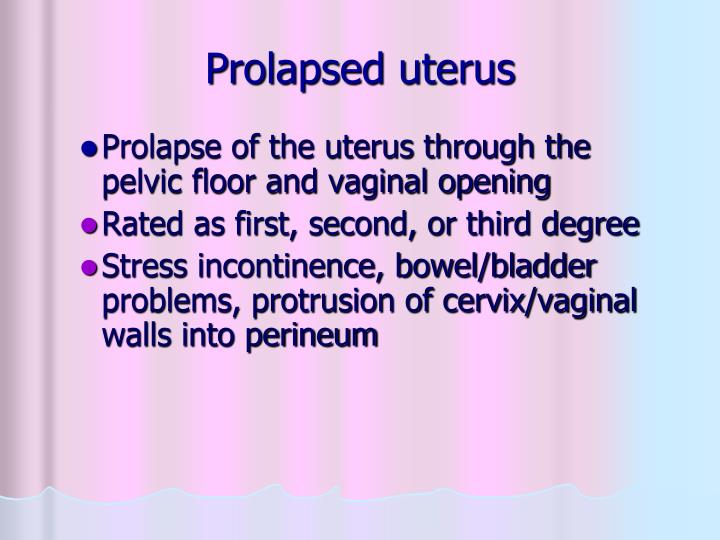 PPT - Maternal Child Health Nursing Module 1 PowerPoint Presentation ...