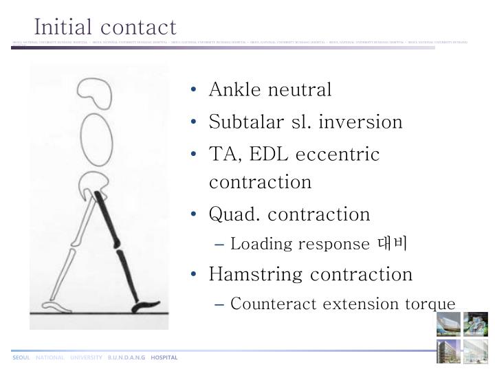 PPT - Function of the foot in normal gait PowerPoint Presentation - ID ...