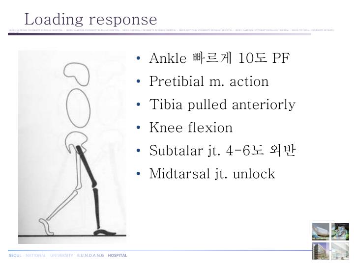 PPT - Function of the foot in normal gait PowerPoint Presentation - ID ...