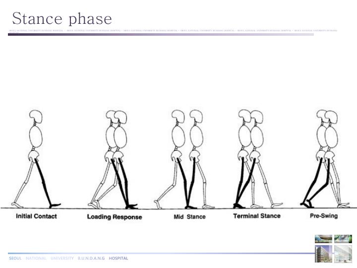 PPT - Function of the foot in normal gait PowerPoint Presentation - ID ...