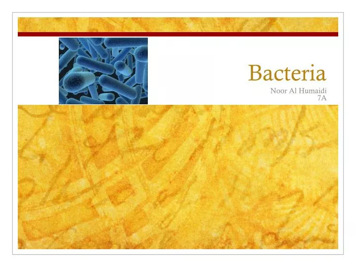 PPT - Bacteria PowerPoint Presentation, free download - ID:5736334