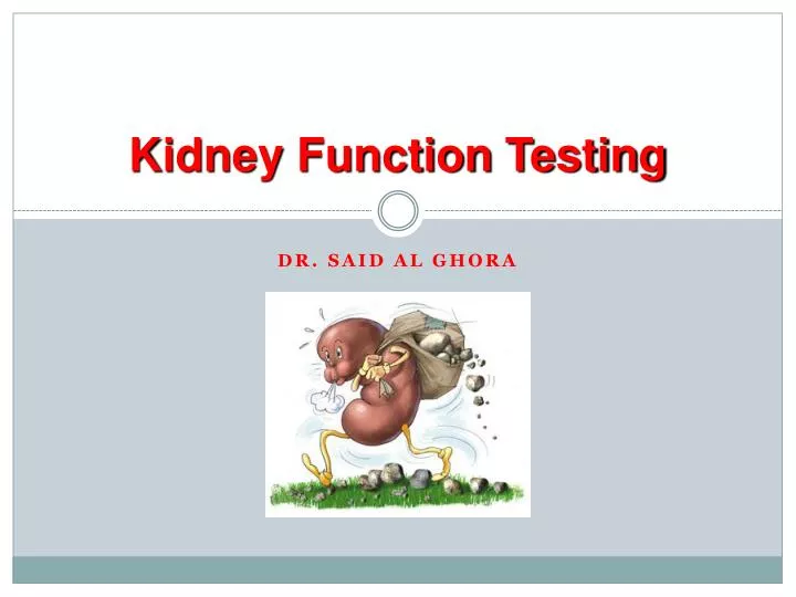 PPT - Kidney Function Testing PowerPoint Presentation, free download ...