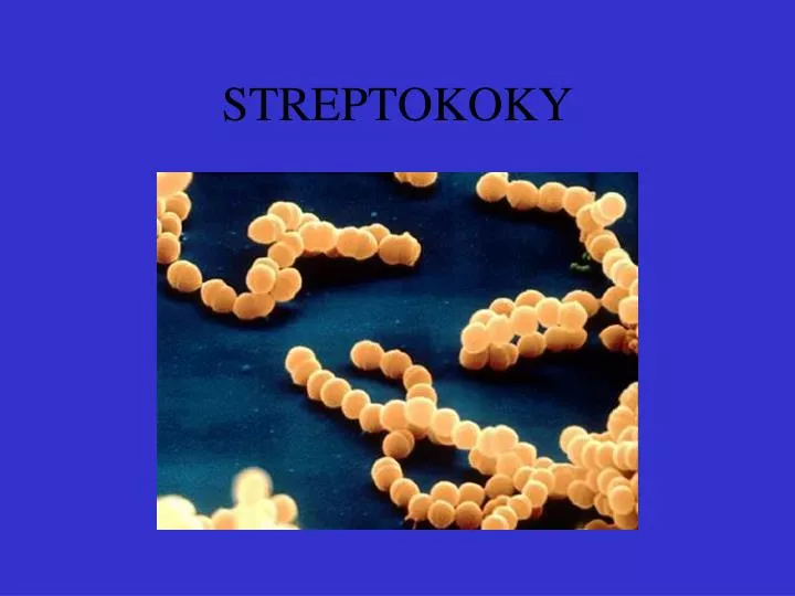 PPT - STREPTOKOKY PowerPoint Presentation, free download - ID:5738190
