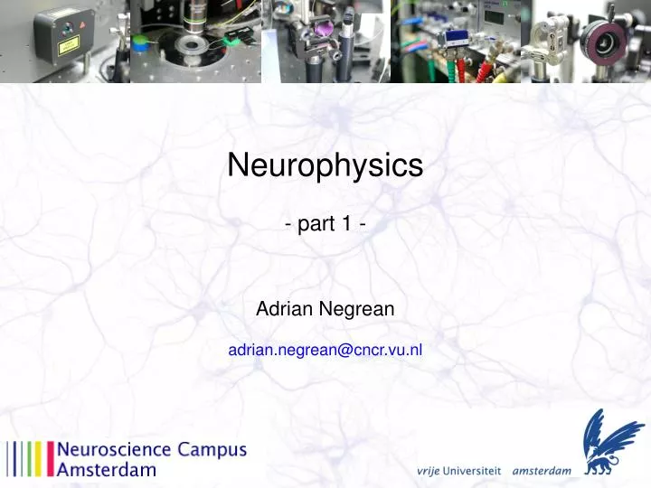 PPT - Neurophysics PowerPoint Presentation, free download - ID:5738538