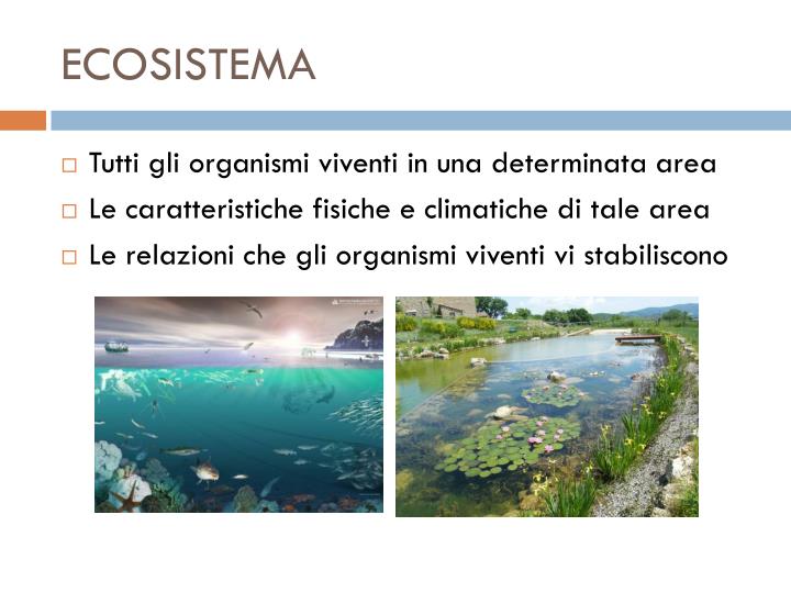 PPT - GLI ECOSISTEMI NATURALI PowerPoint Presentation - ID:5739007