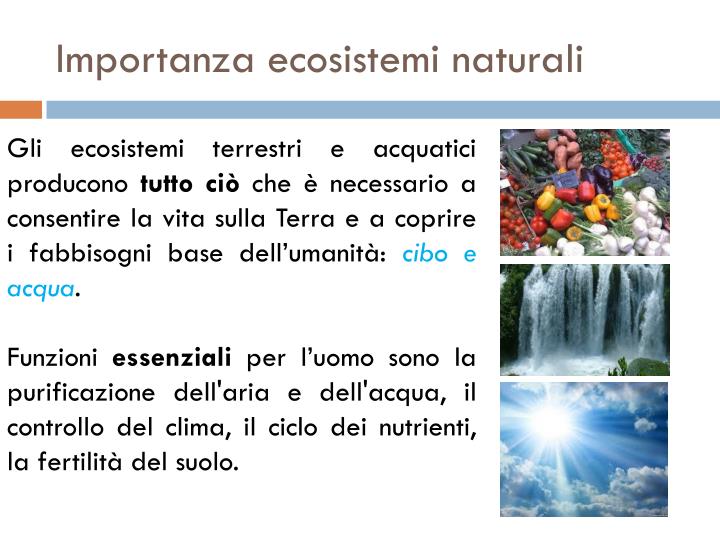 PPT - GLI ECOSISTEMI NATURALI PowerPoint Presentation - ID:5739007