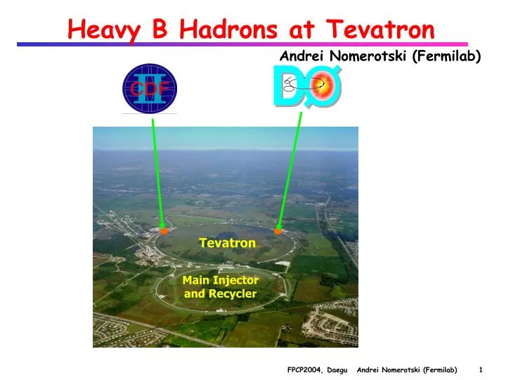 PPT - Heavy B Hadrons at Tevatron PowerPoint Presentation, free ...