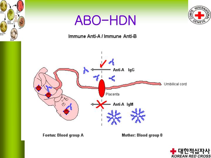 PPT - Ph. D, DB. LEE PowerPoint Presentation - ID:5740985