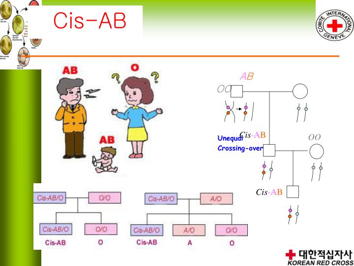 PPT - Ph. D, DB. LEE PowerPoint Presentation - ID:5740985