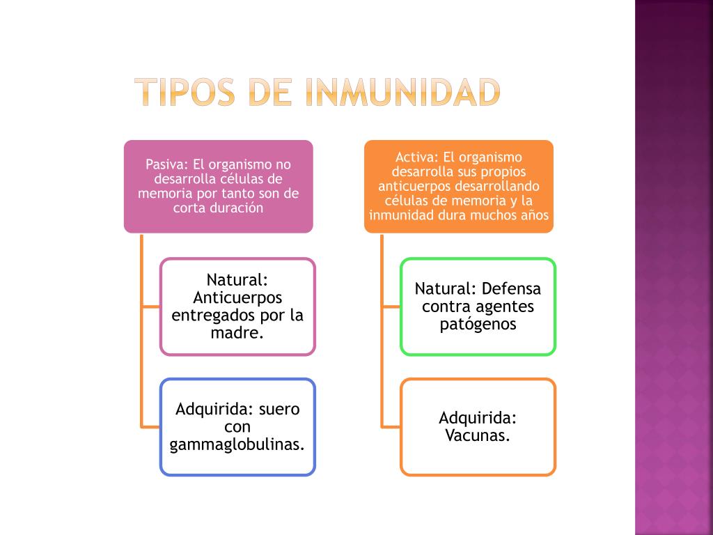 Ppt “tipos De Inmunidad Inmunidad Pasiva Y Activa” Powerpoint