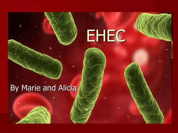 PPT - EHEC PowerPoint Presentation, free download - ID:5741168