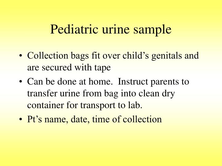 PPT - Body Fluids PowerPoint Presentation - ID:5741257