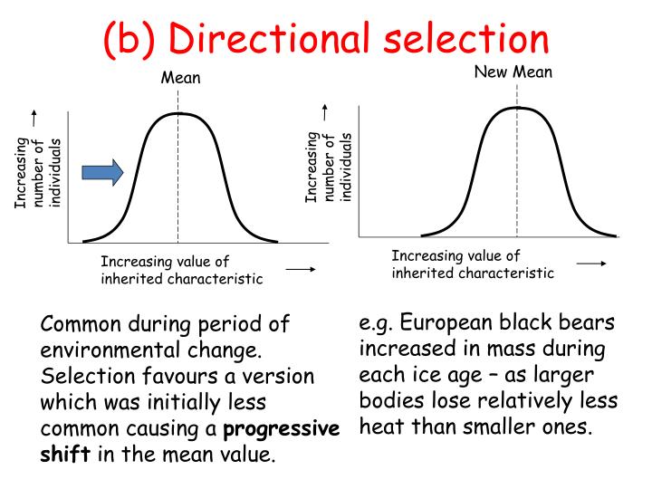 Directional Selection