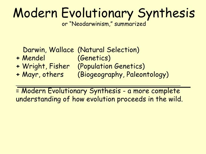 PPT - Population genetics PowerPoint Presentation - ID:5741459