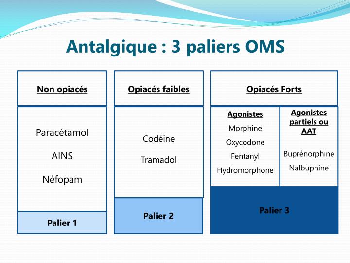 PPT - 9 ème journée du COMUN: Douleur aux urgences PowerPoint ...