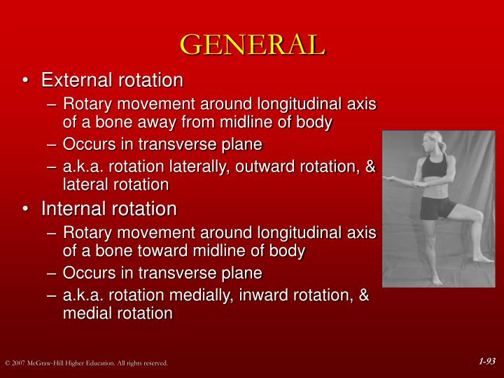 PPT - Chapter 1 Foundations of Structural Kinesiology PowerPoint ...