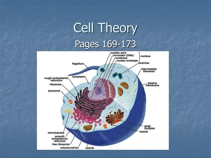 PPT Cell Theory PowerPoint Presentation Free Download ID 5744107
