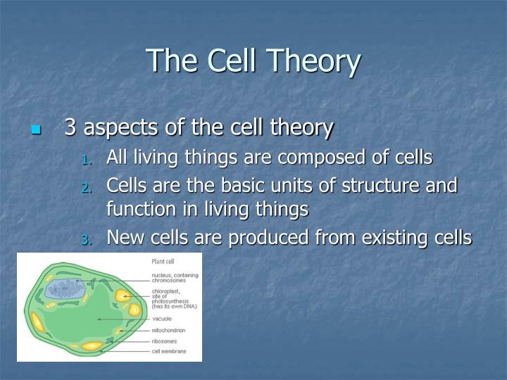 PPT - Cell Theory PowerPoint Presentation - ID:5744107