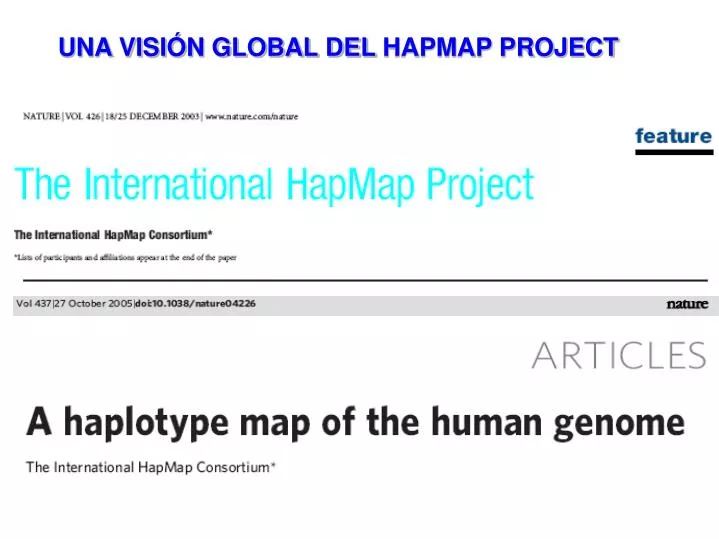 PPT - UNA VISIÓN GLOBAL DEL HAPMAP PROJECT PowerPoint Presentation ...