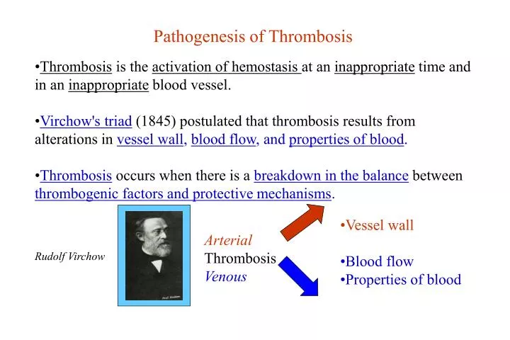 PPT - Pathogenesis of Thrombosis PowerPoint Presentation, free download ...