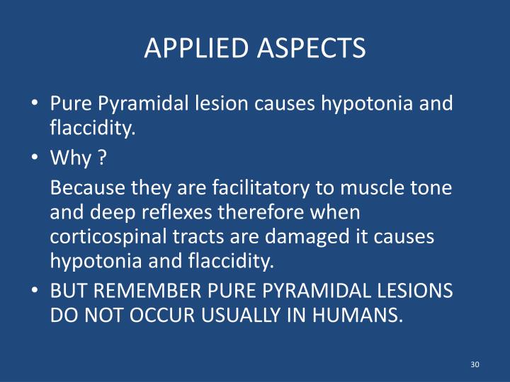 PPT - CORTICAL MOTOR AREAS & DESCENDING MOTOR TRACTS (PYRAMIDAL & EXTRA ...