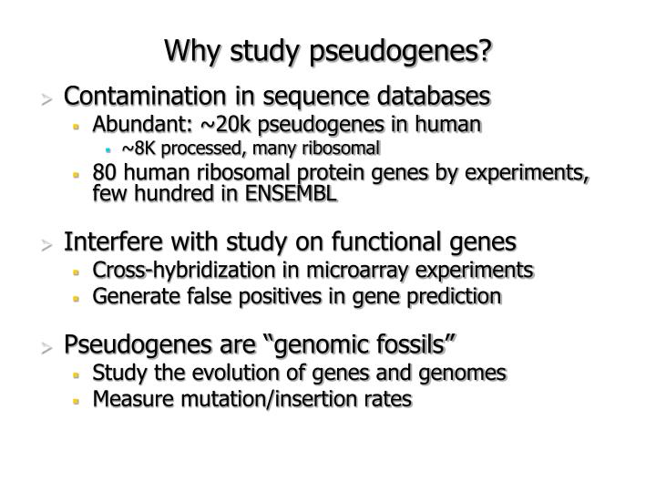 PPT - Properties of pseudogenes ( G) PowerPoint Presentation - ID:5745318