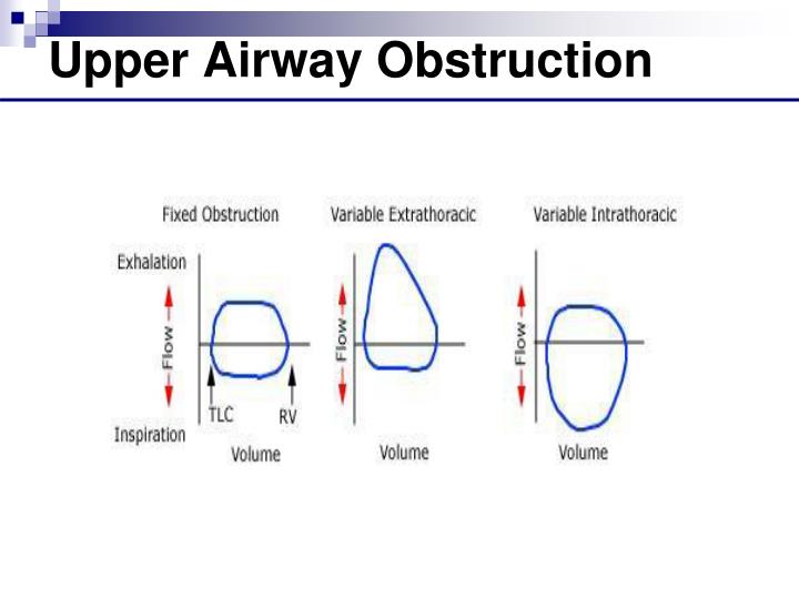 PPT - Pulmonary Function Tests PowerPoint Presentation - ID:5745958