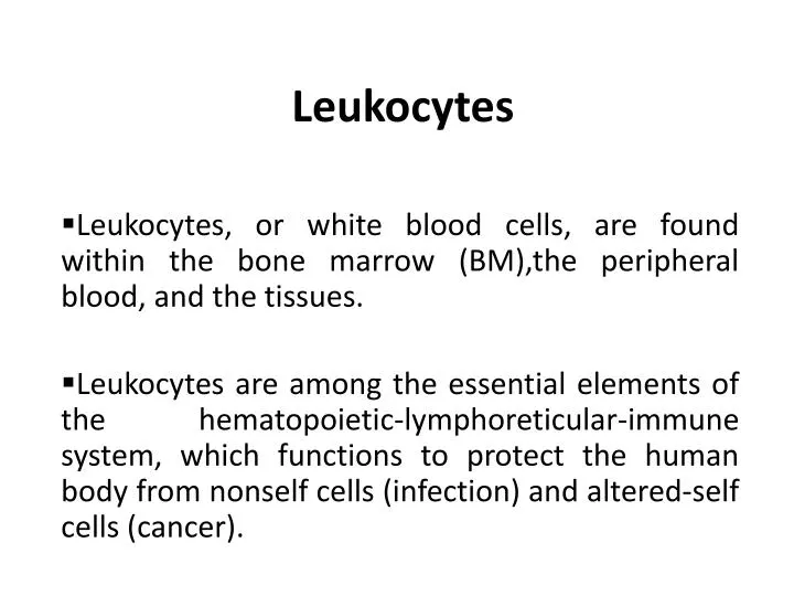 PPT - Leukocytes PowerPoint Presentation, free download - ID:5746184