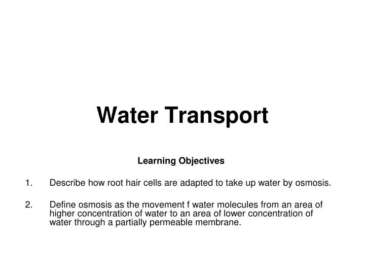 PPT - Water Transport PowerPoint Presentation, free download - ID:5746882
