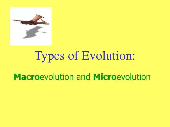 PPT - Types of Evolution: PowerPoint Presentation, free download - ID ...