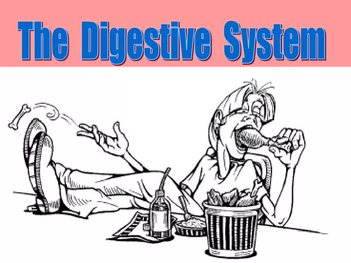 Digestive System Humor