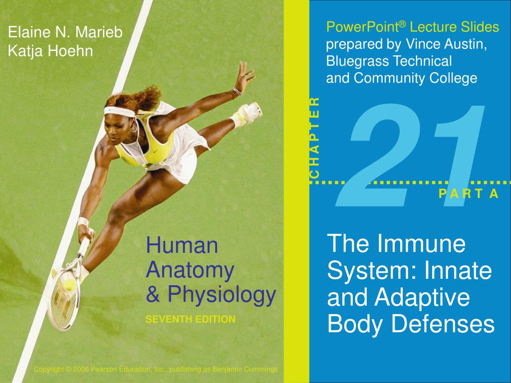 Ppt The Immune System Innate And Adaptive Body Defenses Powerpoint Presentation Id5748334