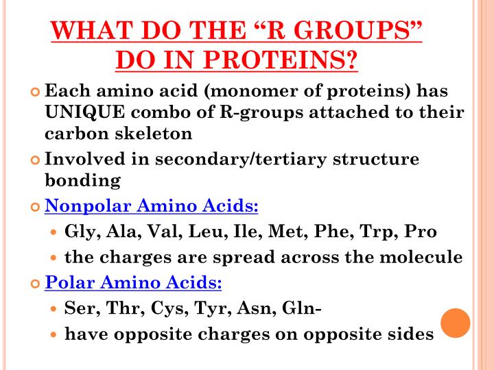 PPT - ENZYME CATALYSIS LAB PowerPoint Presentation - ID:5750147