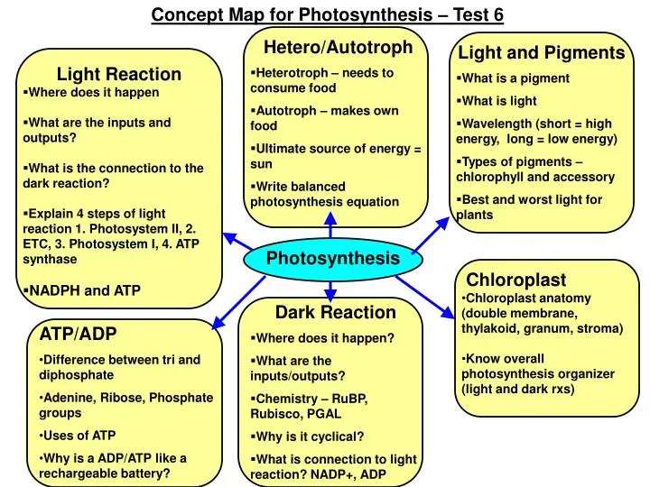 PPT - Light Reaction Where does it happen What are the inputs and ... PPT - Light Reaction Where does it happen What are the inputs and ...
