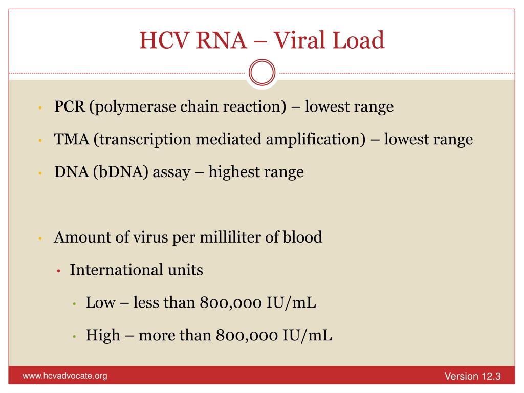 PPT - HCV Training Workshop PowerPoint Presentation, free download - ID ... PPT - HCV Training Workshop PowerPoint Presentation, free download - ID ...