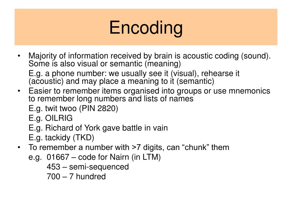 Ppt Localisation Of Memory Memory Encoding Storage And Retrieval