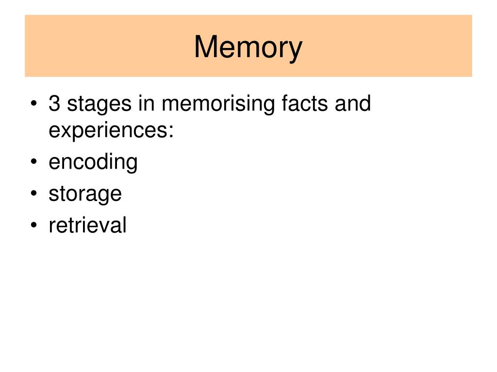 Ppt Localisation Of Memory Memory Encoding Storage And Retrieval