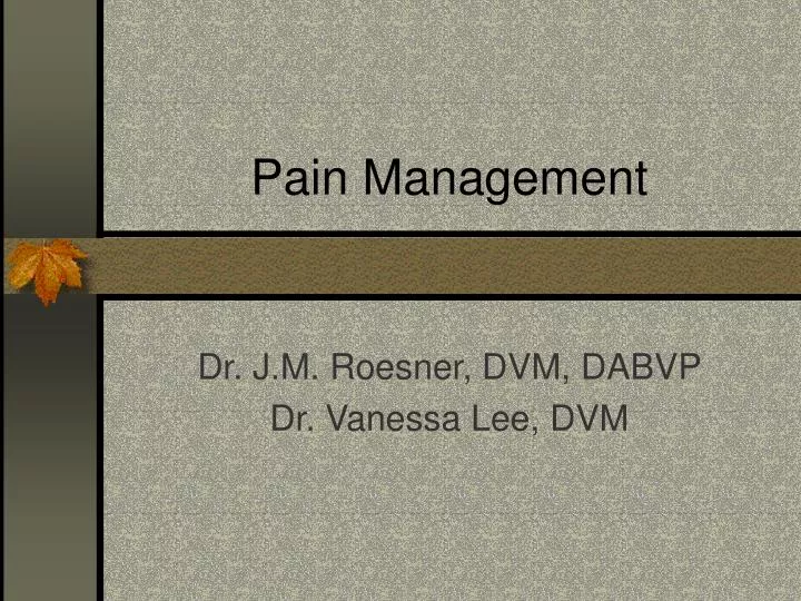 PPT - Pain Management PowerPoint Presentation, free download - ID:5752808
